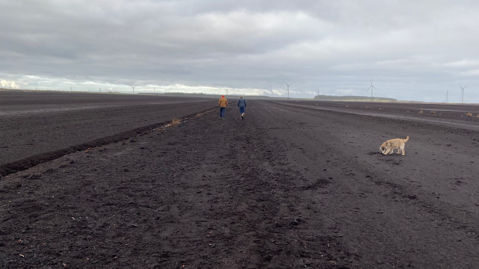 Why peat is on the frontline of our battle against climate change ...